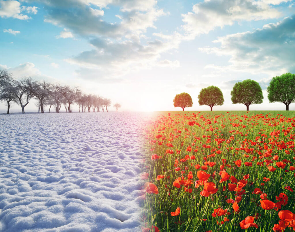Winter to Spring Mood Swings: Why You Feel Different as the Seasons ...