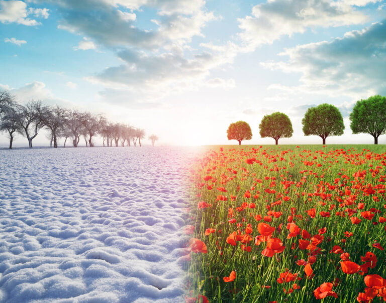 Winter to Spring Mood Swings: Why You Feel Different as the Seasons ...